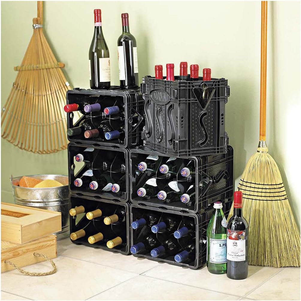 Amazon.com: STORViNO Nero Wine Storage Container : Home & Kitchen