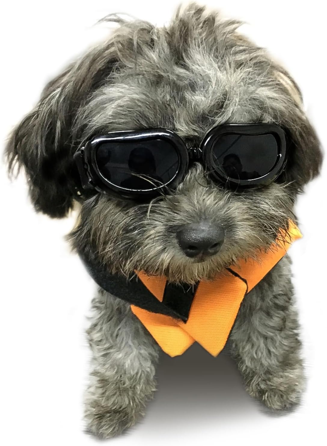 Enjoying Dog Goggles Small Breed, UV Protection Sunglasses for Dogs ...