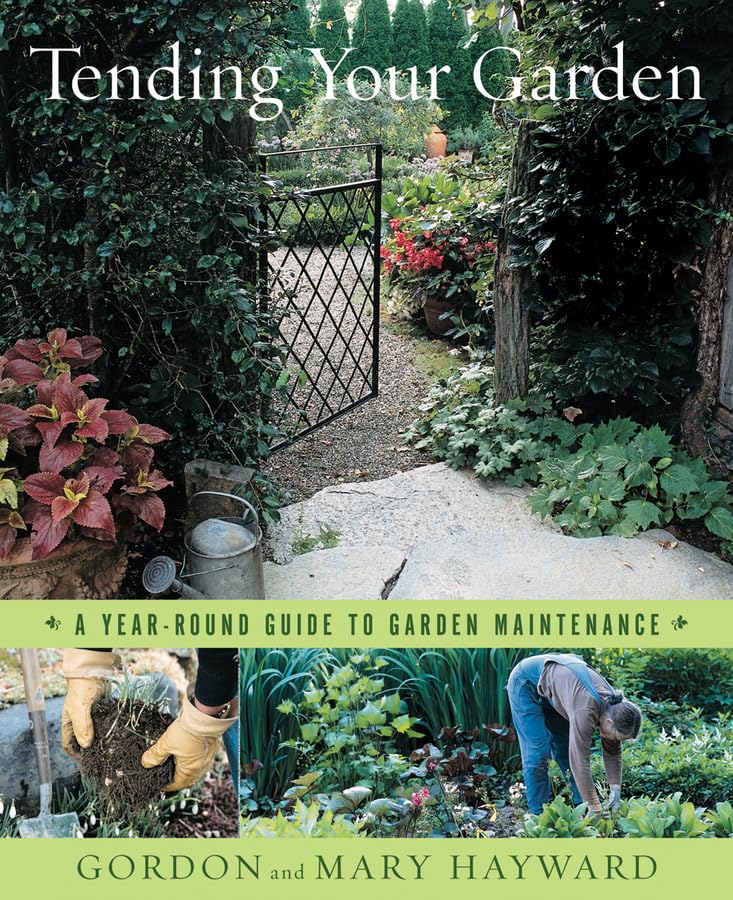 24 of the Best Gardening Books for Beginners in 2024