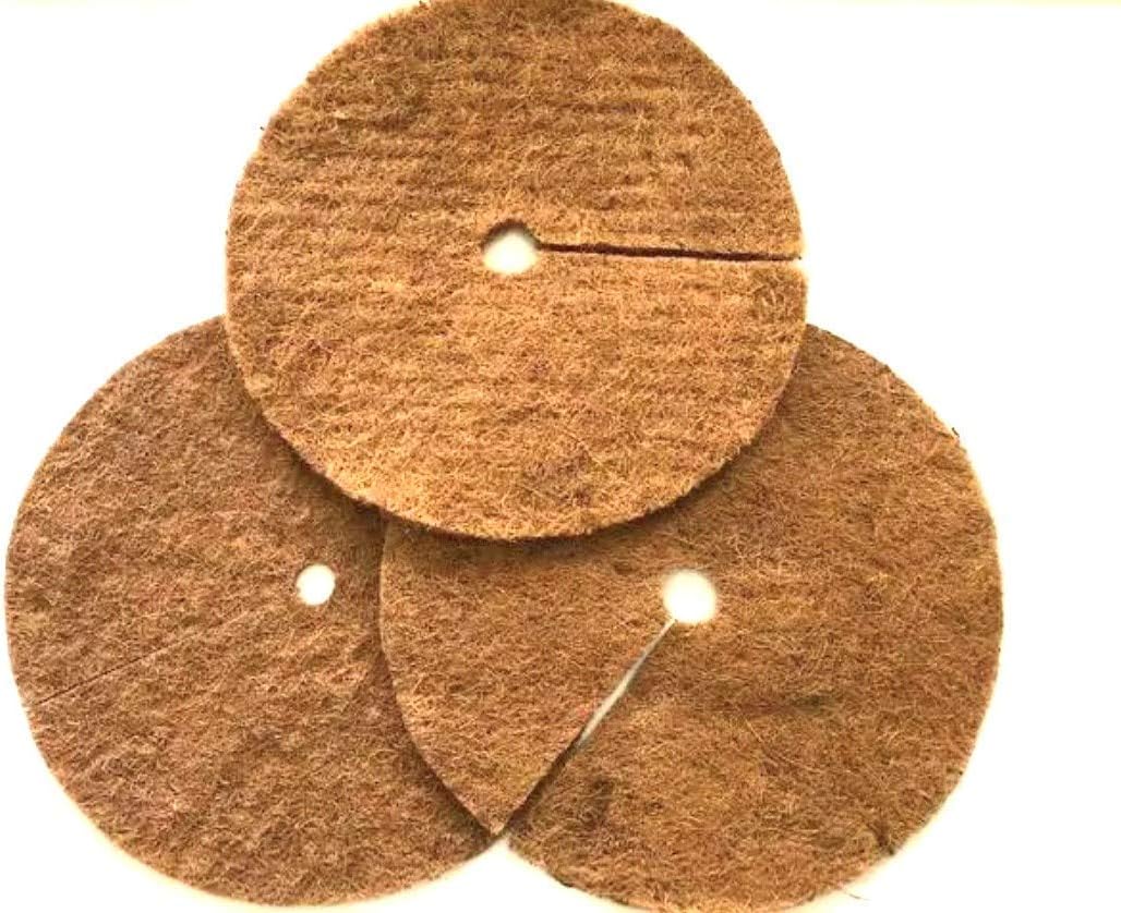 Amazon.com : Coco Coir Coconut Fiber Tree Ring Mulch Weed Root ...