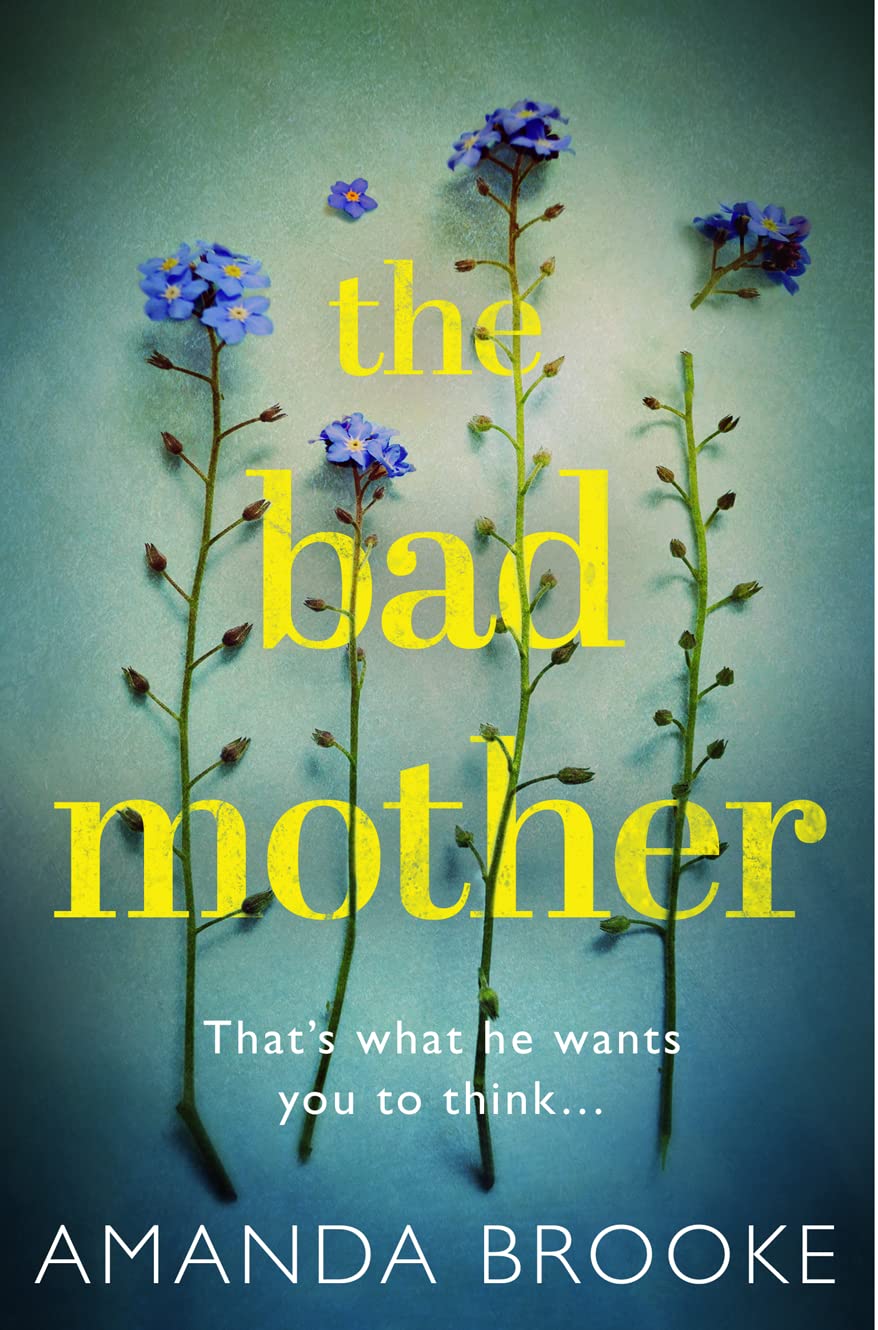 Amazon.com: The Bad Mother: The addictive, gripping thriller that will ...