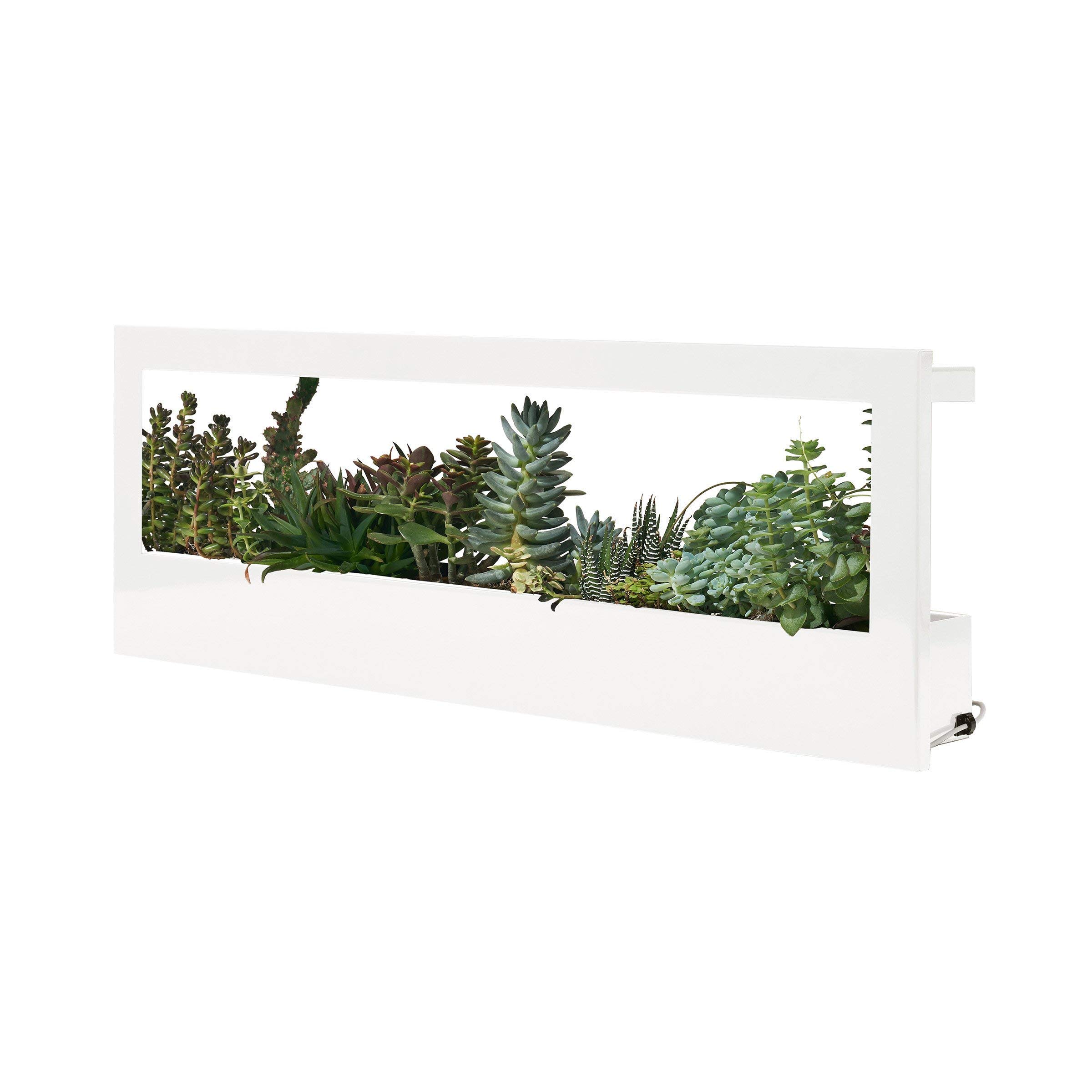 Amazon.com: Modern Sprout Smart Landscape Growframe Wall Mounted ...