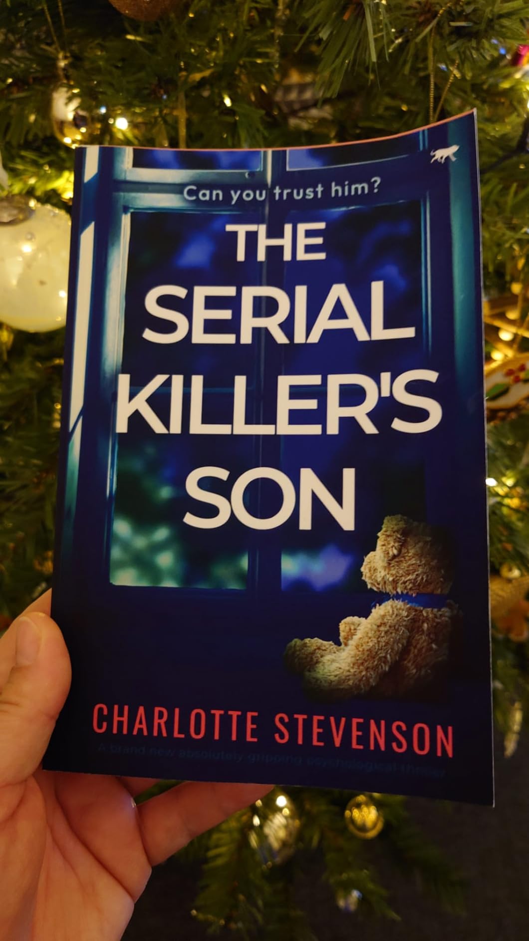 The Serial Killer's Son: A brand new absolutely gripping psychological ...