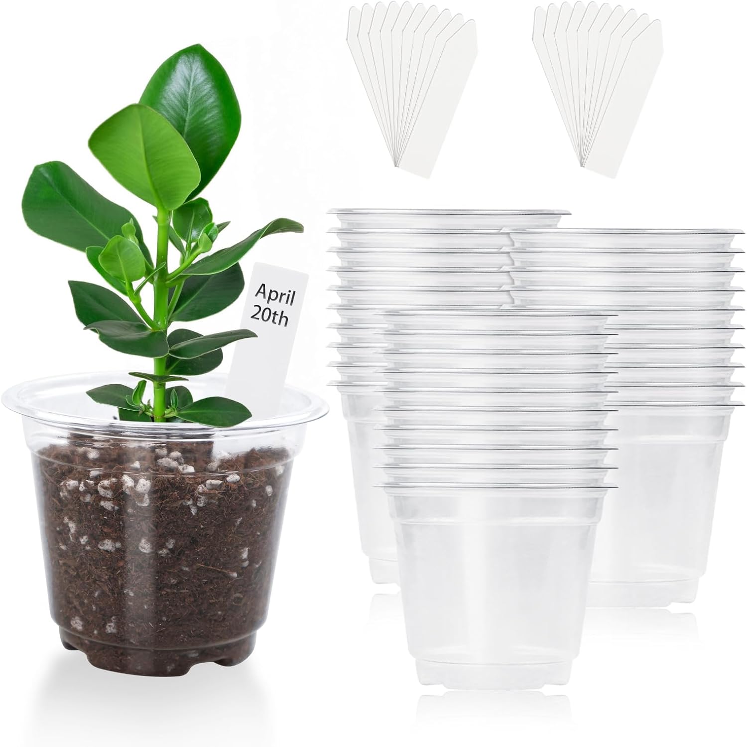 Amazon.com: Clear Nursery Pots for Plants, 4 Inch Plastic Plant Pots ...