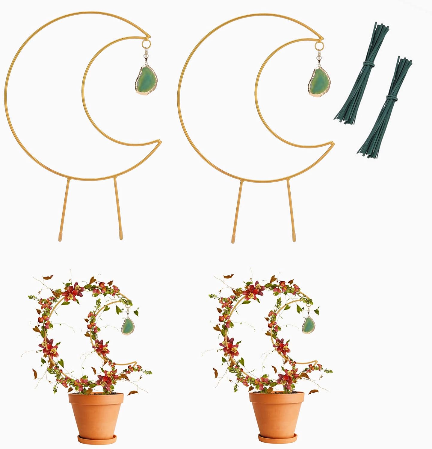 Amazon.com : BVCED 2Pack Crescent Moon Plant Trellis for Climbing ...