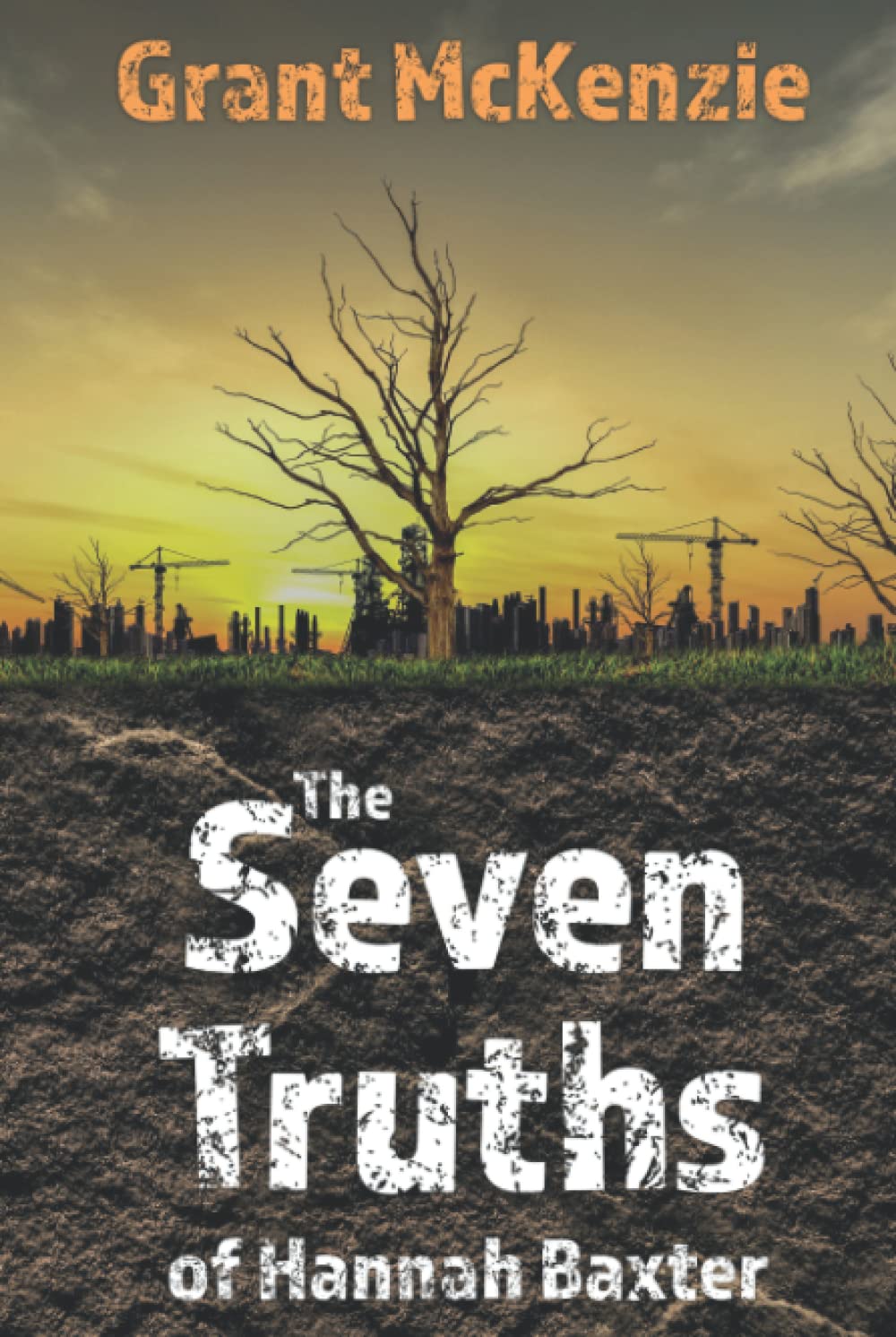 The Seven Truths of Hannah Baxter (Ian Quinn): Amazon.co.uk: McKenzie ...