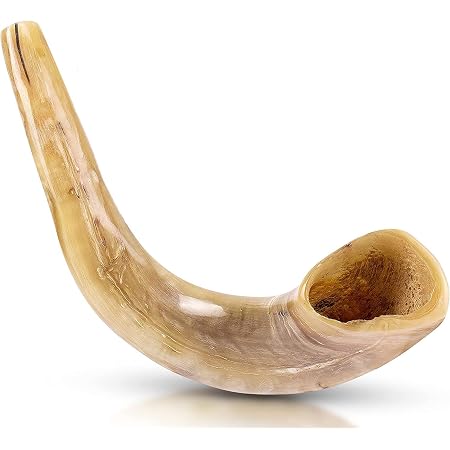 Amazon.com: Ram's Horn Shofar Kosher Mini 10" Polished White : Musical ...