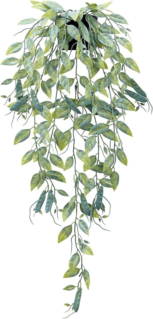 Amazon.com: CEWOR Artificial Hanging Plants Fake 1 Pack Pea Pod Wall ...