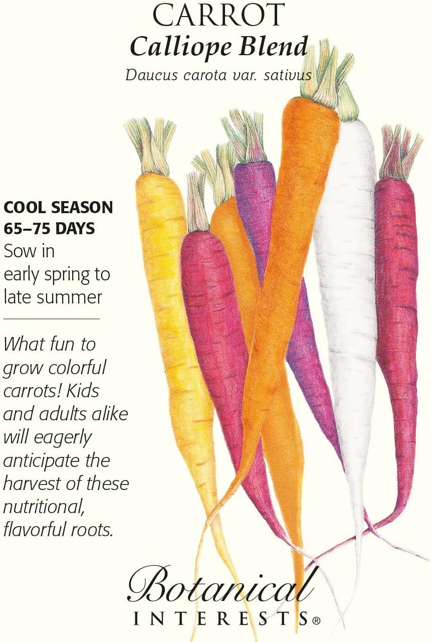 Amazon.com : Calliope Blend Carrot Seeds - 1 Gram - Botanical Interests ...