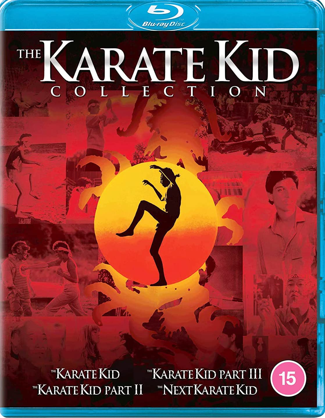 Amazon.com: The Karate Kid Collection : Ralph Macchio, Hilary Swank ...