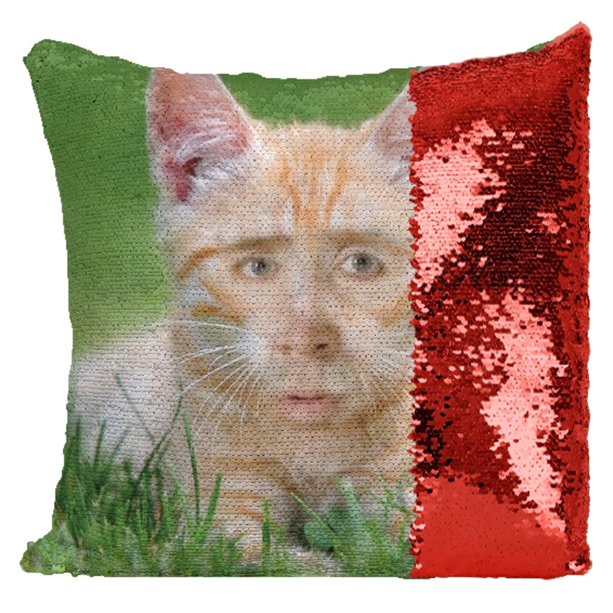 Cat Nicolas Cage My Cat Loves Nick Cage : R/cats