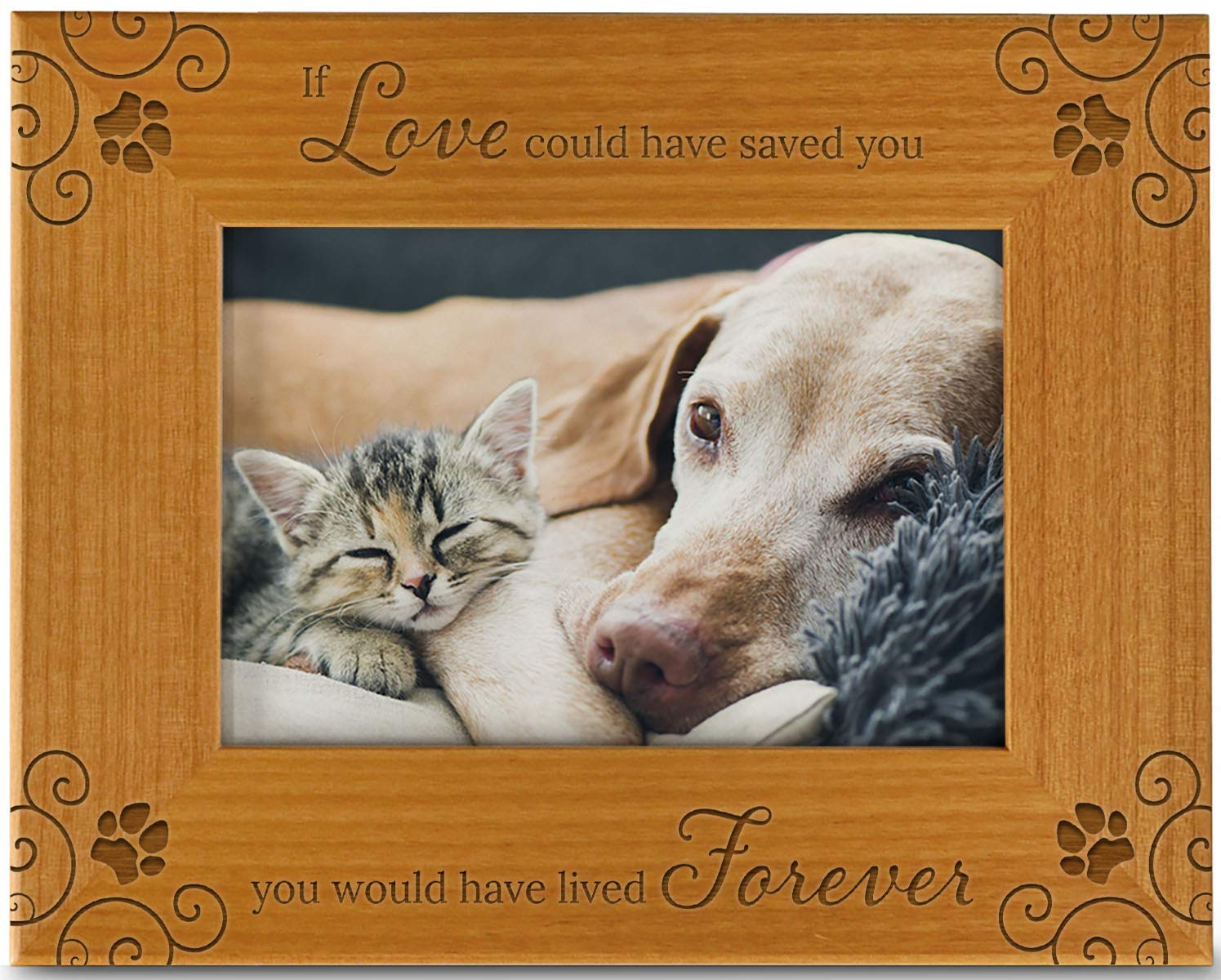 How Do I Keep My Dog Alive Forever