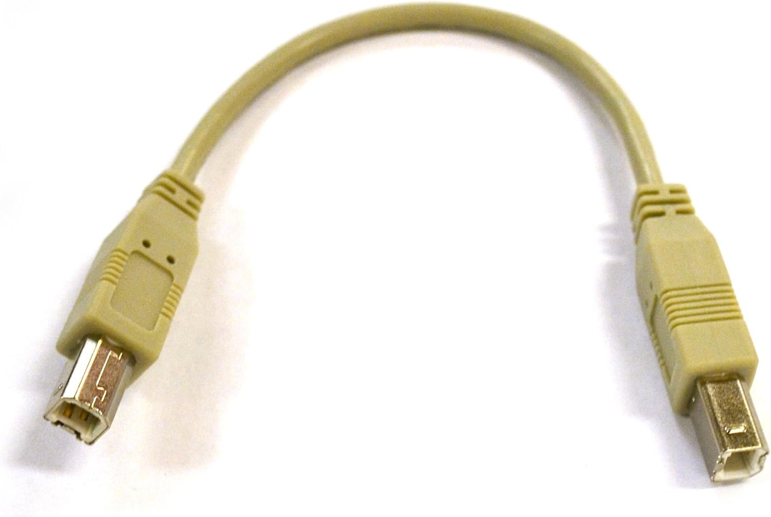 Amazon.com: EISCO Labs USB 2.0 Cable - Type B Male to Type B Male ...