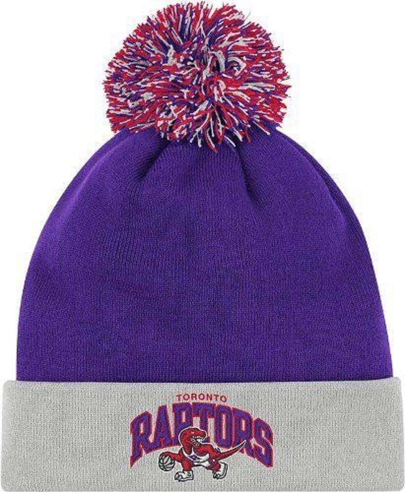 Amazon.com : Toronto Raptors Arched Logo Vintage Cuffed Pom Hat ...