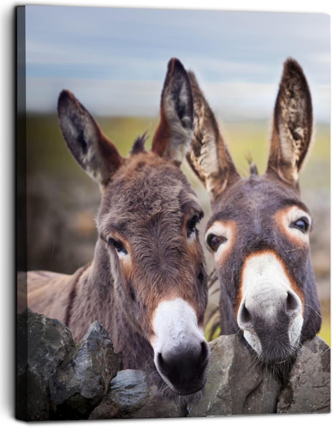 Amazon.com: Vantboo Farmhouse Donkey Canvas Prints Wall Art Paintings ...