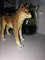 Amazon.com: Safari Ltd. Dingo Figurine - Realistic 4" Hand-Painted Toy ...
