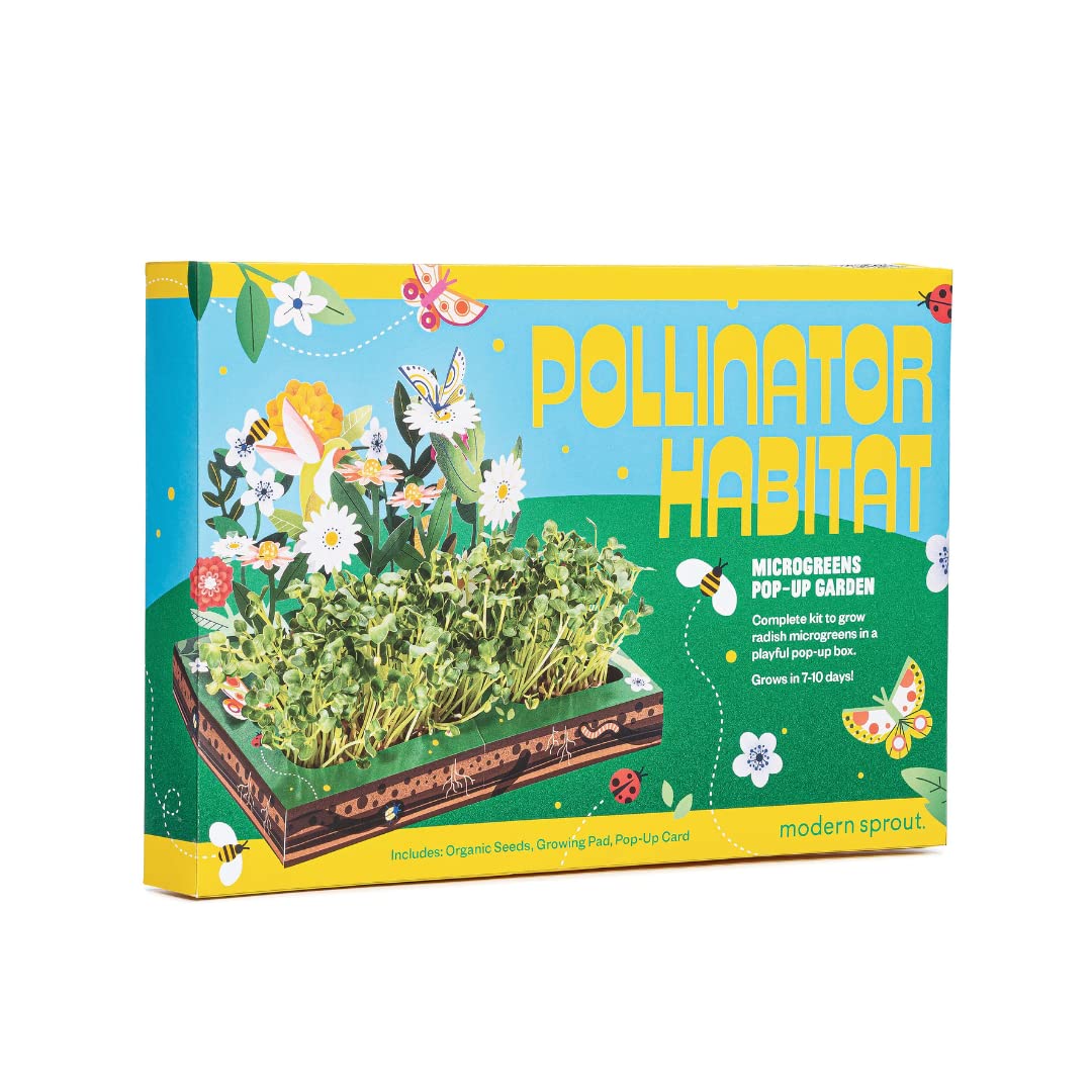 Amazon.com: Modern Sprout Interactive Microgreens Garden Kit for Kids ...