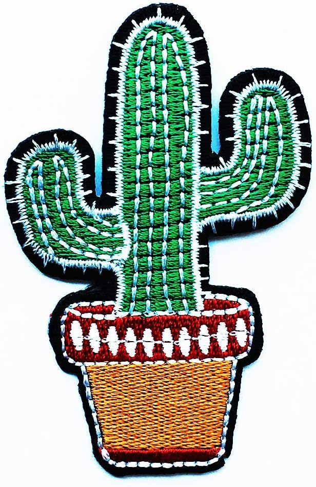 Amazon.com: 3x2 Inch Green Plant Hot Desert Cactus Pot Thorn Cactus ...