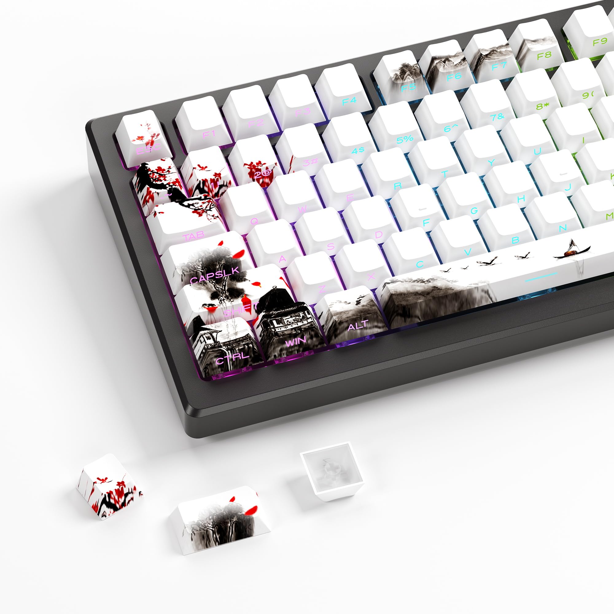 Buy XVX PBT Keycaps - Side Print Keycaps, Shine Through Custom Keycaps ...