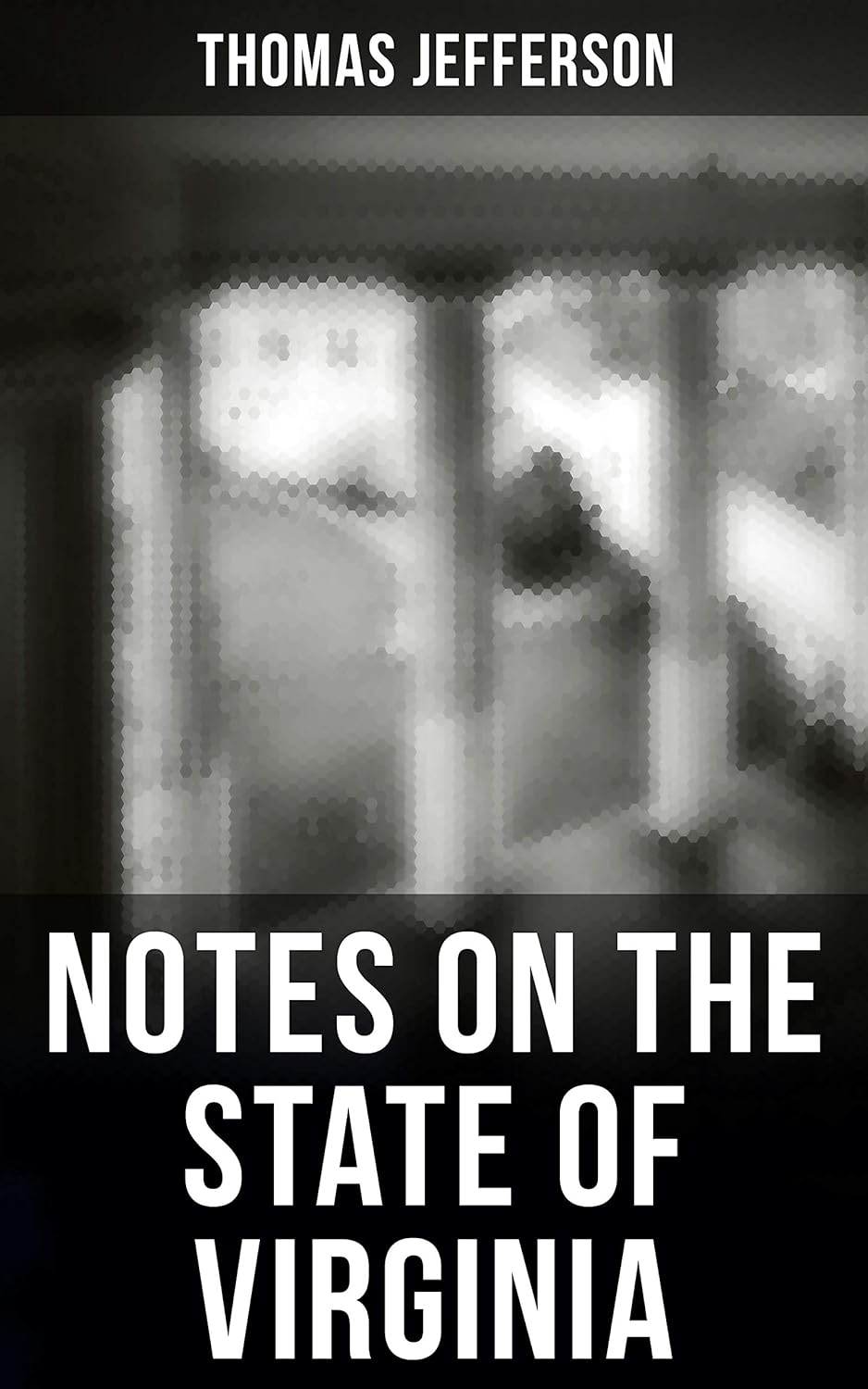 Amazon.com: Thomas Jefferson: Notes on the State of Virginia: A ...