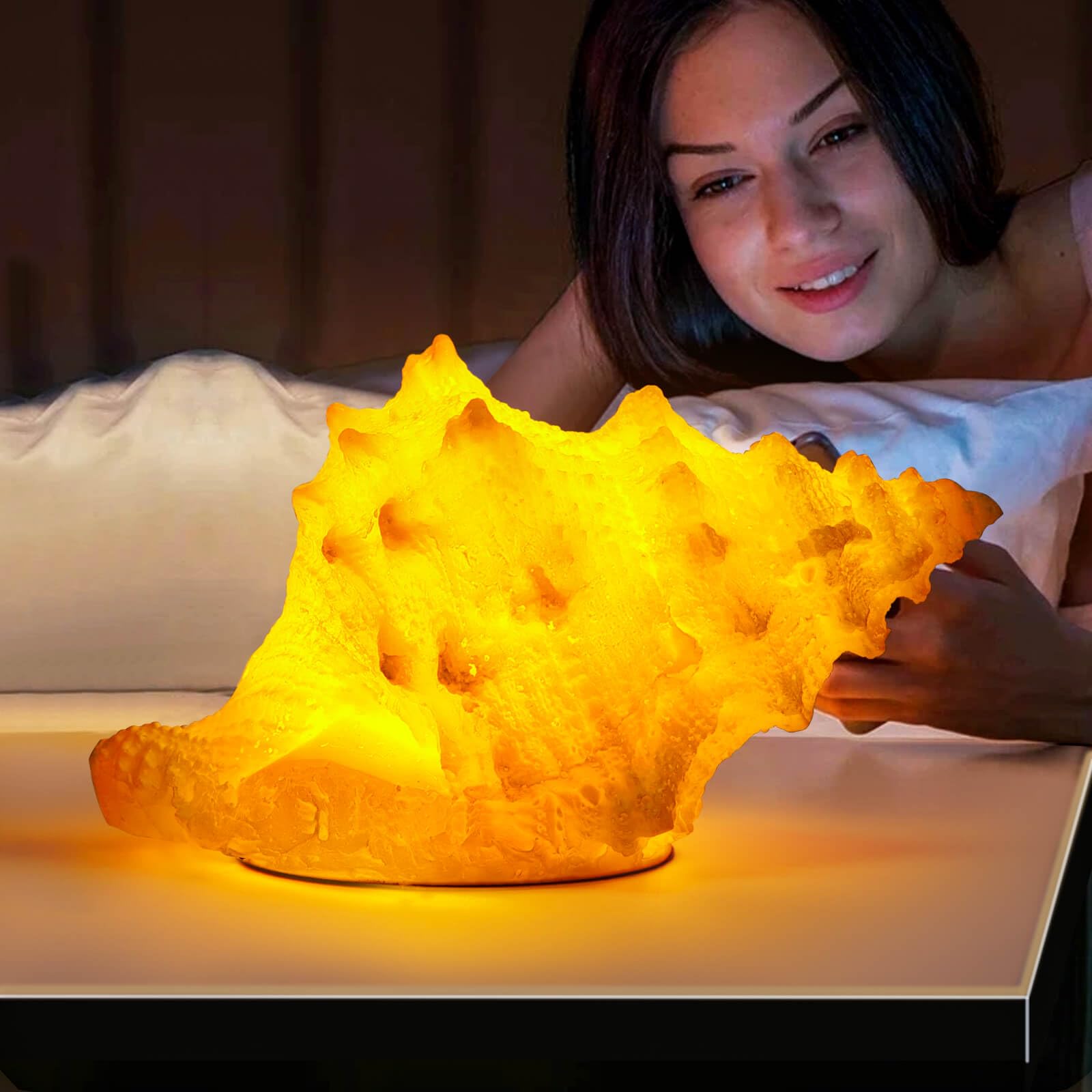 Nurluce Conch Shell Night Light USB Powered 3 Lighting Color Auto On ...