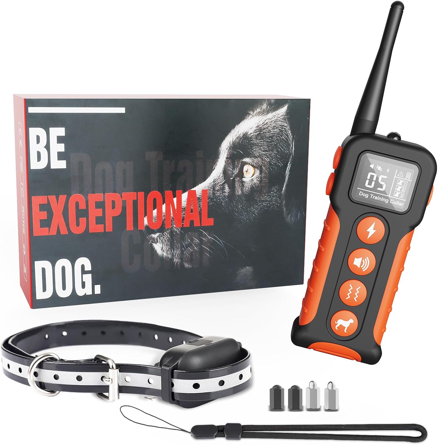 Amazon.com : Letton Electric Dog Shock Collar,Small Medium Large Dog ...