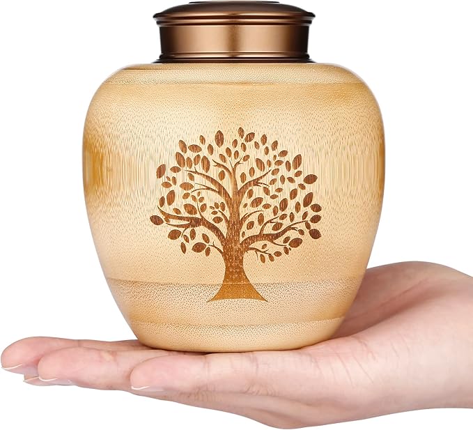 Amazon.com: Small Urns for Human Ashes Adult Male Female,Small Keepsake ...