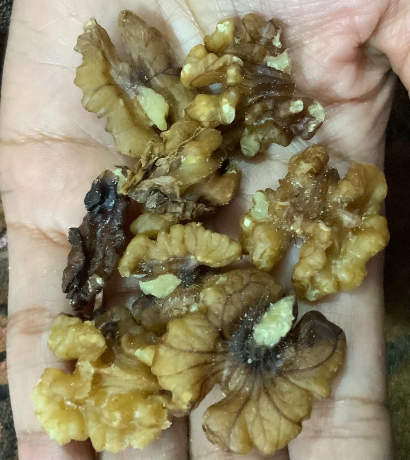 WONDERLAND FOODS California Walnut Kernels (200 g Each) Pack of 3 Boxes ...