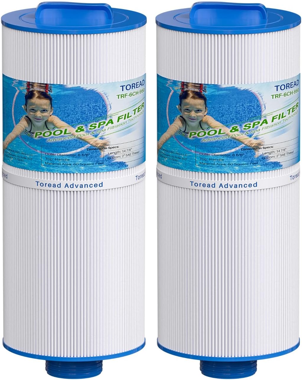 Amazon.com : BZTT 6CH-960 Spa Filter Replacement Jacuzzi Filter J-300 ...