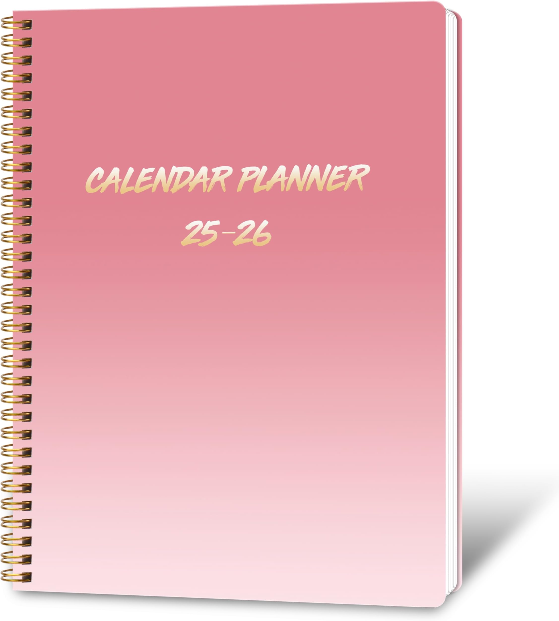 Amazon.com : Monthly Planner Jan 2025 - Dec 2026 for 2 Years, 8.8×11 ...