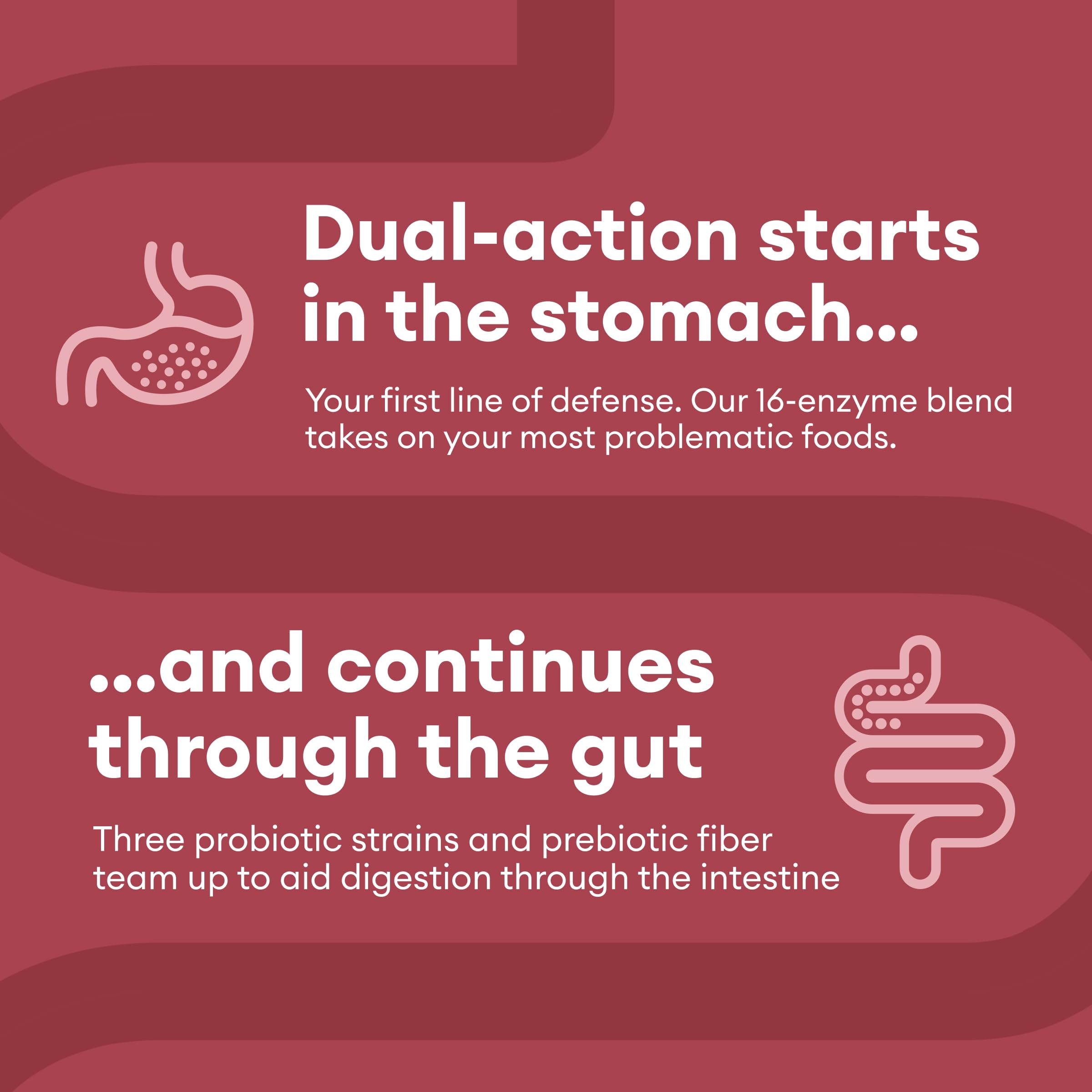 Snapklik.com : Physicians CHOICE Digestive Enzymes - Multi Enzymes ...