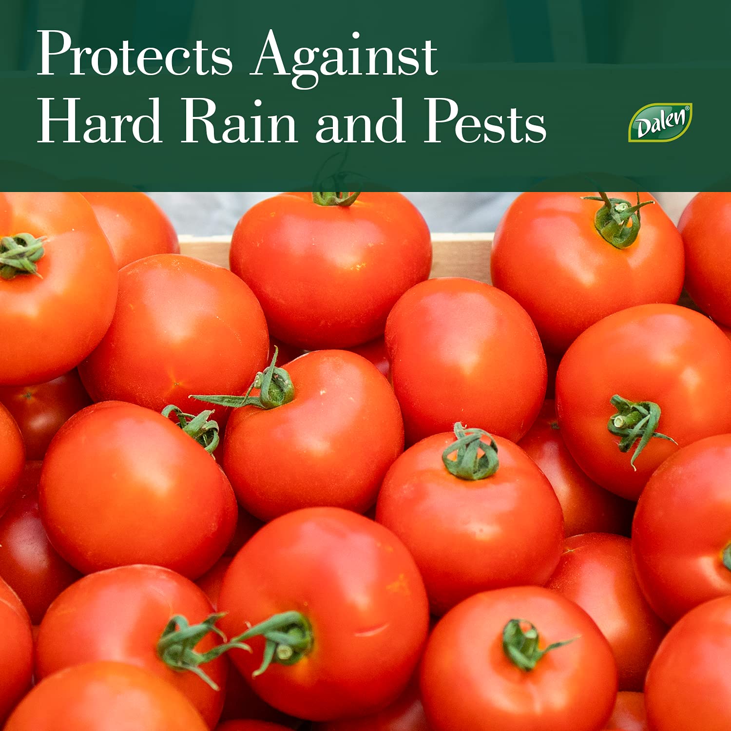 Snapklik.com : Better Reds Greenhouse Breathable Cover Perfect For ...