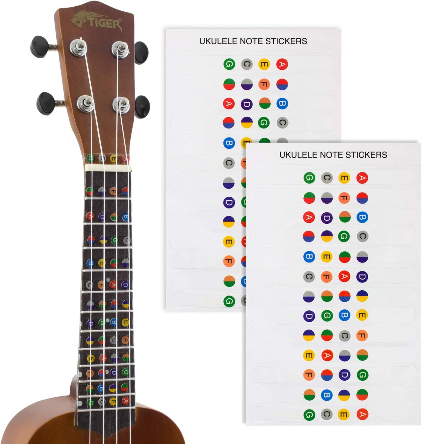 TIGER UKE-2-STICKER Ukulele Note Stickers - Colour Coded Fretboard ...