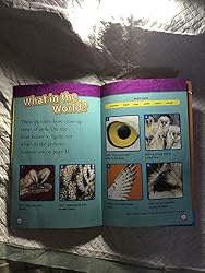 Amazon.com: Owls (National Geographic Kids Readers, Level 1 ...