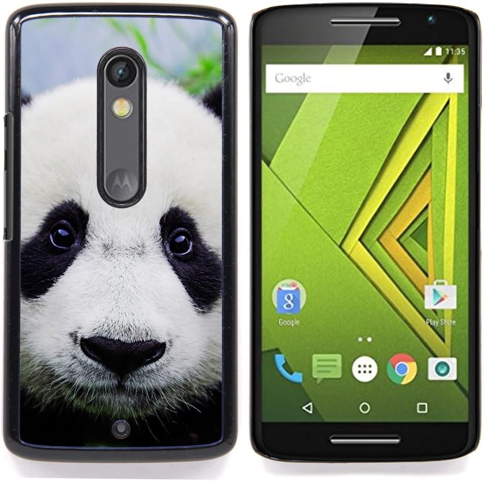 Amazon.com: - Panda Cute Japanese Eyes Sad Furry Plush - Slim Guard ...