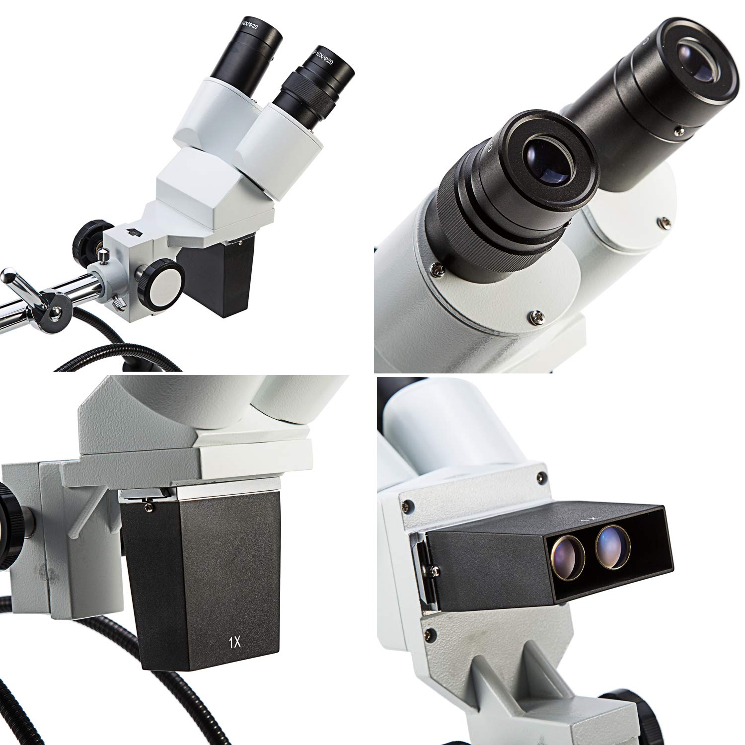 Buy Swift S41-20 Professional Dissecting Binocular Stereo Microscope ...