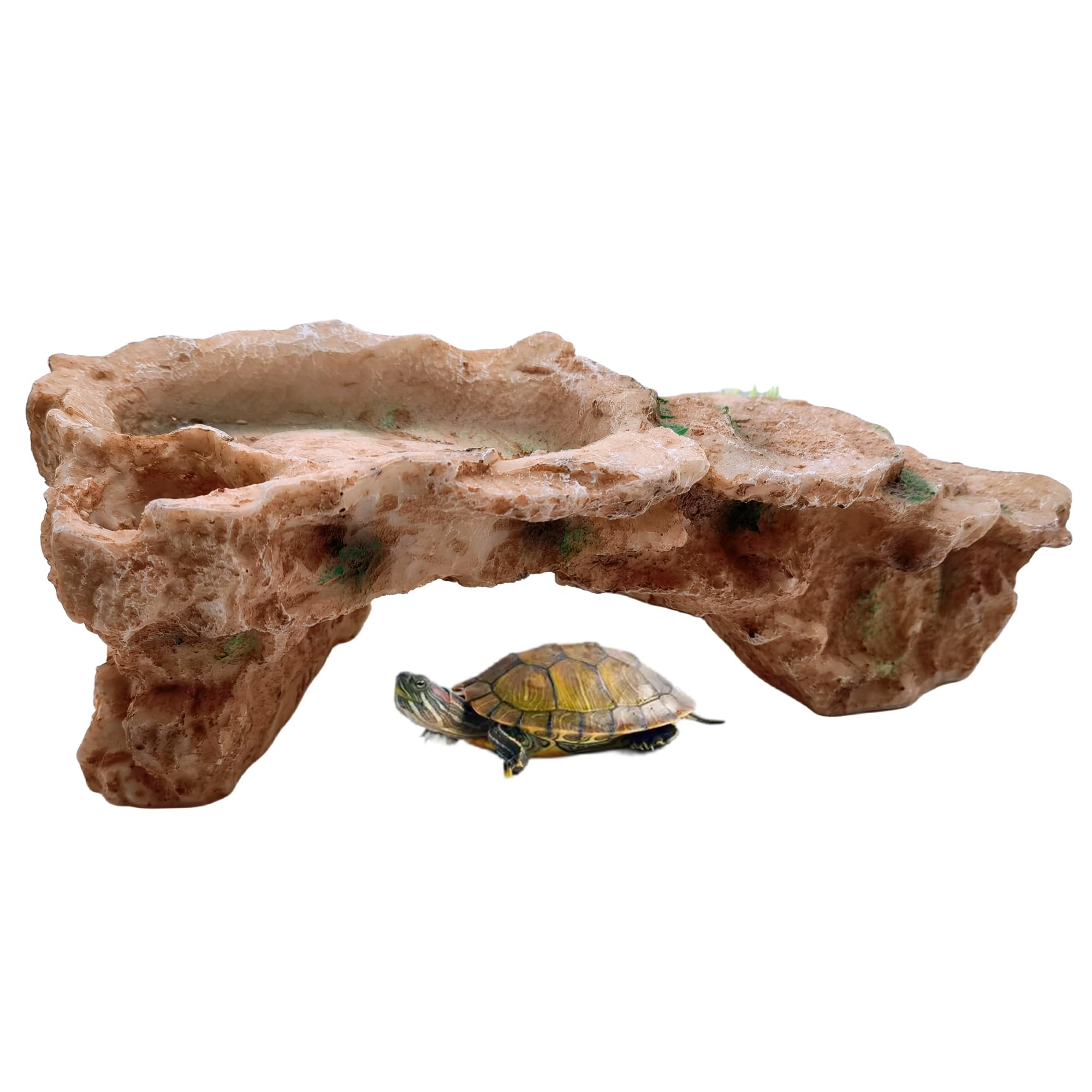 M2cbridge Reptile Hide Resting Step Ledge Cave Hideout Turtle Basking ...