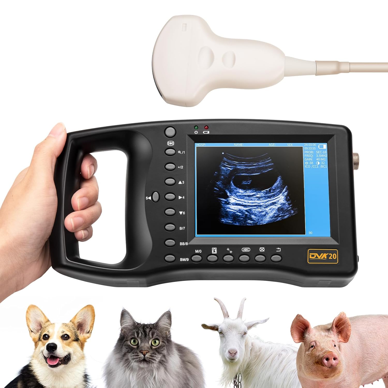 Amazon.com: Portable Veterinary Ultrasound Machine, Home Ultrasound ...