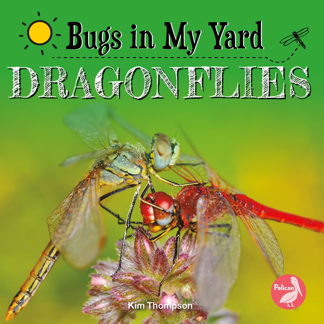 Dragonflies : Thompson, Kim: Amazon.in: Books