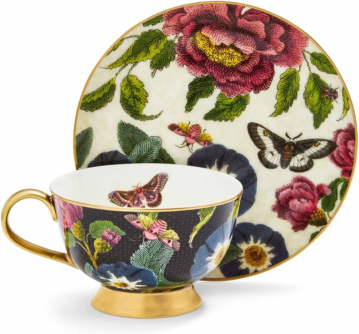 Amazon.com: Spode Creatures of Curiosity Collection Coupe Teacup and ...