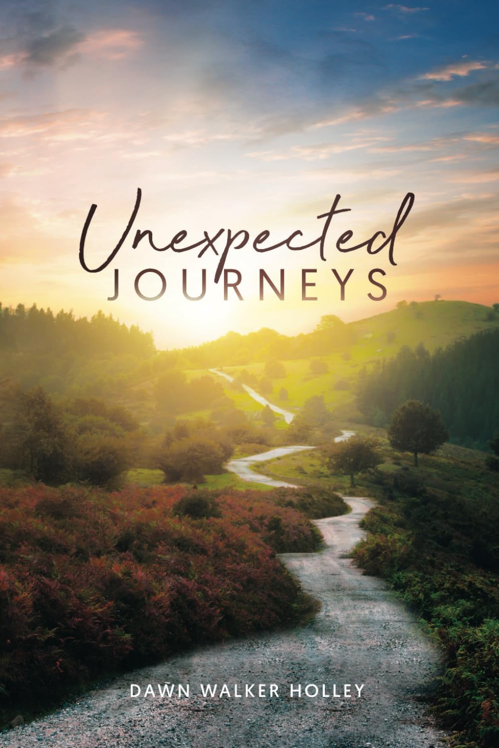 Unexpected Journeys: Holley, Dawn Walker: 9798333397447: Amazon.com: Books