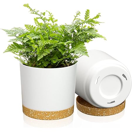 Amazon.com: FIASON 8 inch Plant Pots, Plastic Planter with Drainage ...
