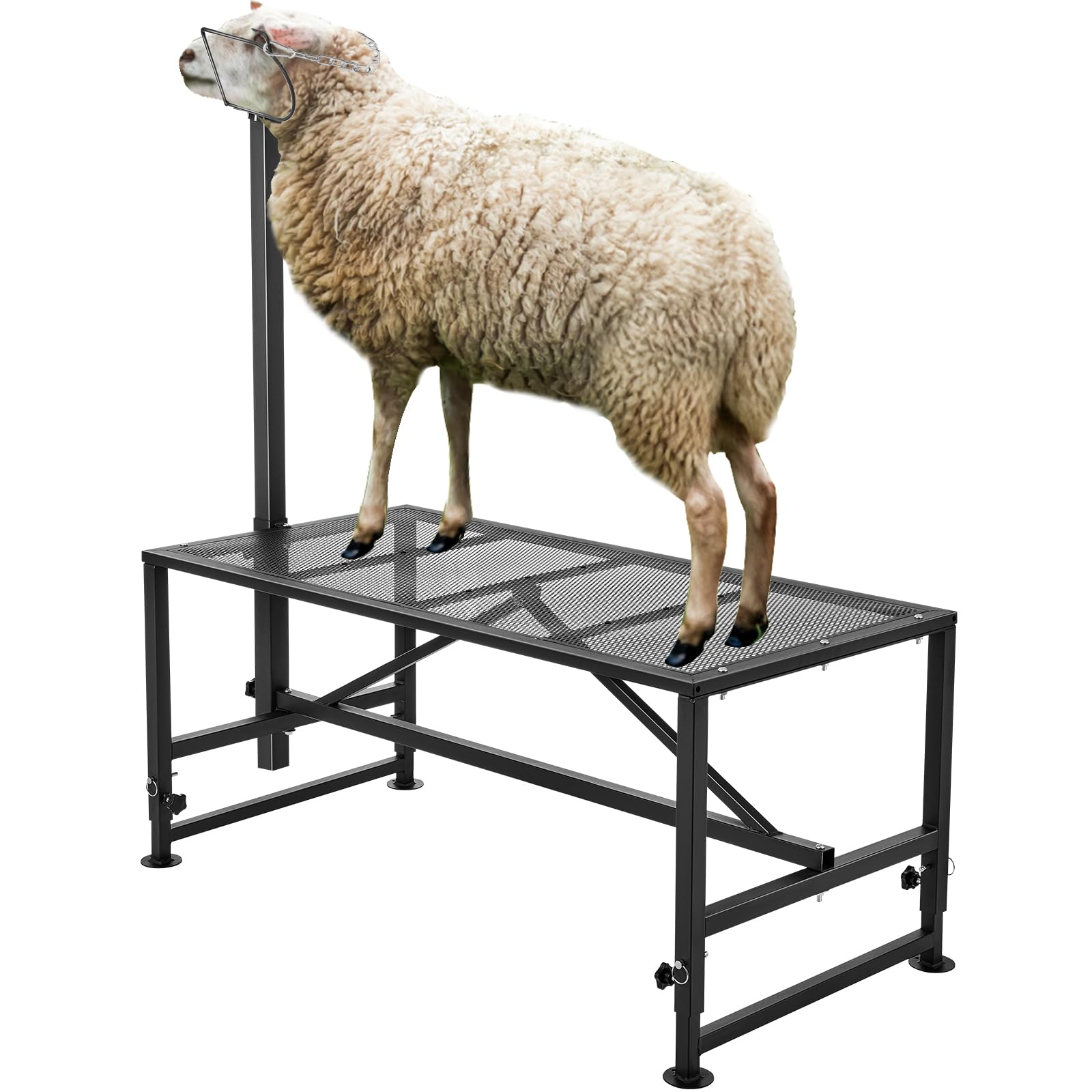 Amazon.com : VEVOR Goat Milking Stand, 47x23 inch Livestock Stand ...
