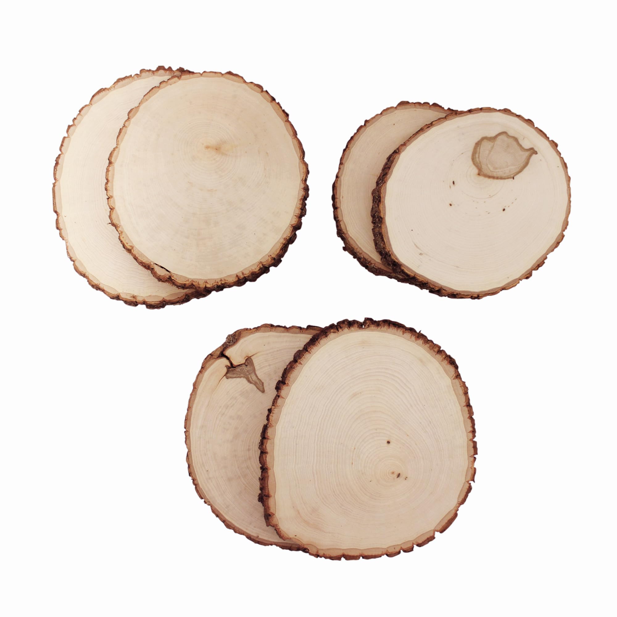 Amazon.com: Walnut Hollow Thick Rustic Basswood Round, 7-10" Wide, (6 ...