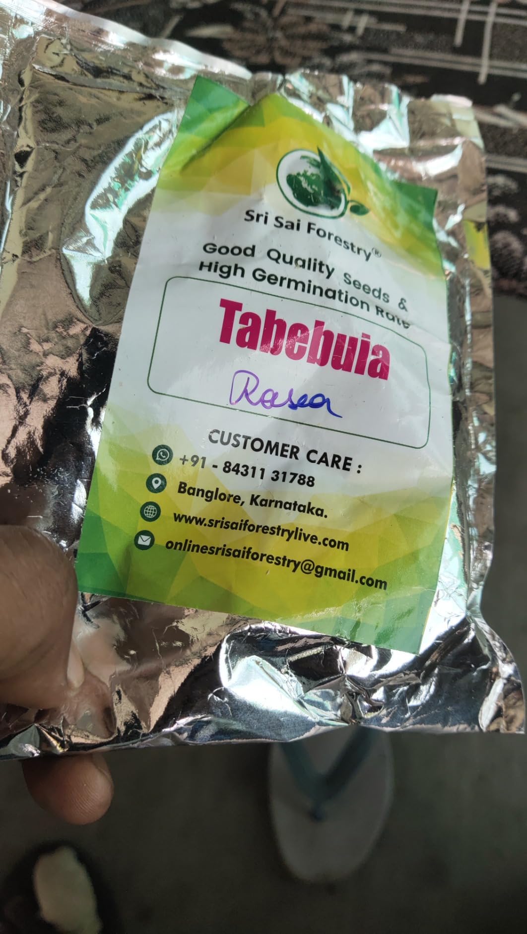 SRI SAI FORESTRY Tabebuia Rosea Seeds (Pack of 100), Tabubia Rosea Seed ...