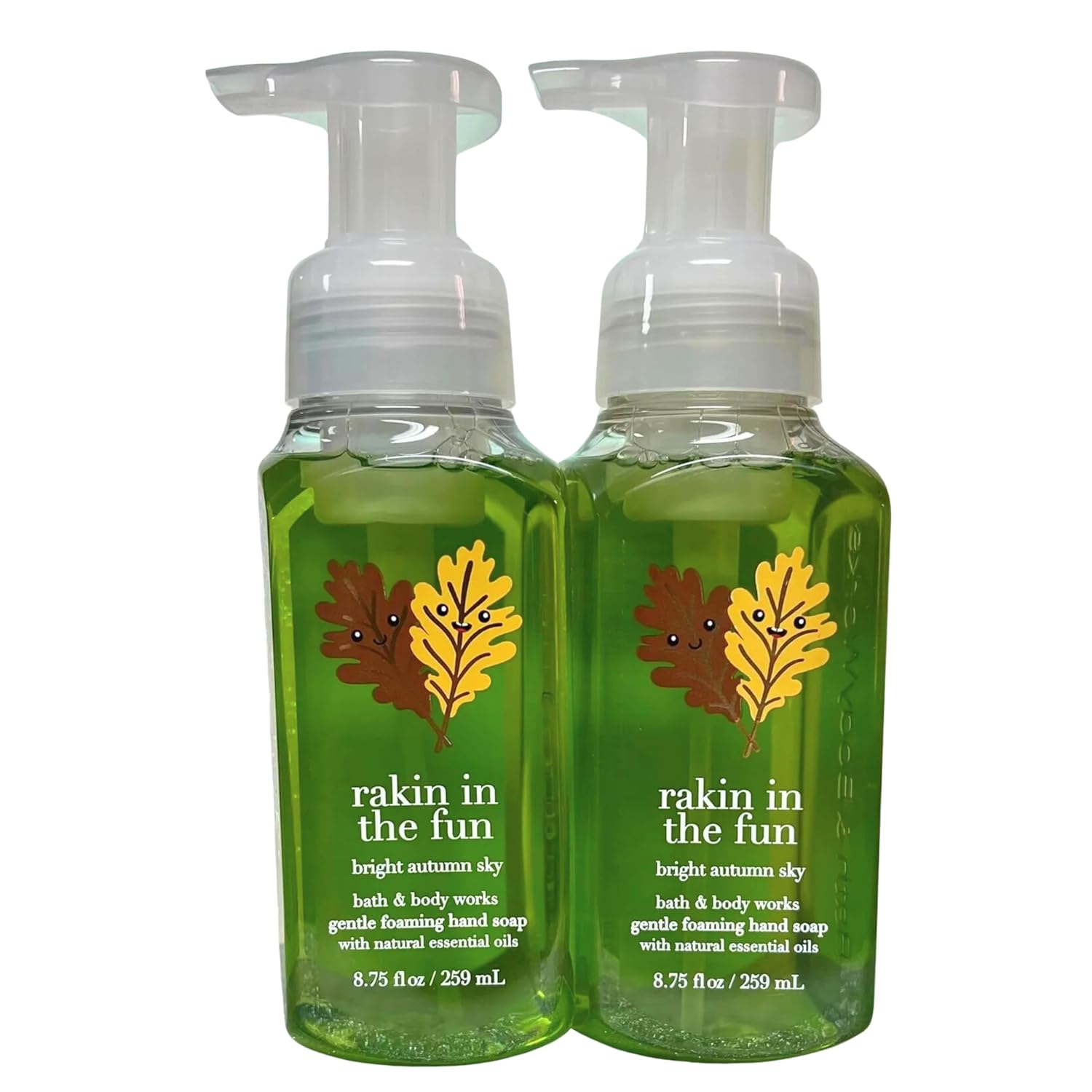 Amazon.com : Bath & Body Works Foaming Hand Soap, Set of 2, 8.75oz Each ...