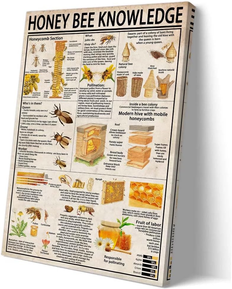 Amazon.com: Matniger Honey Bee Wall Art Knowledge Poster Educational ...