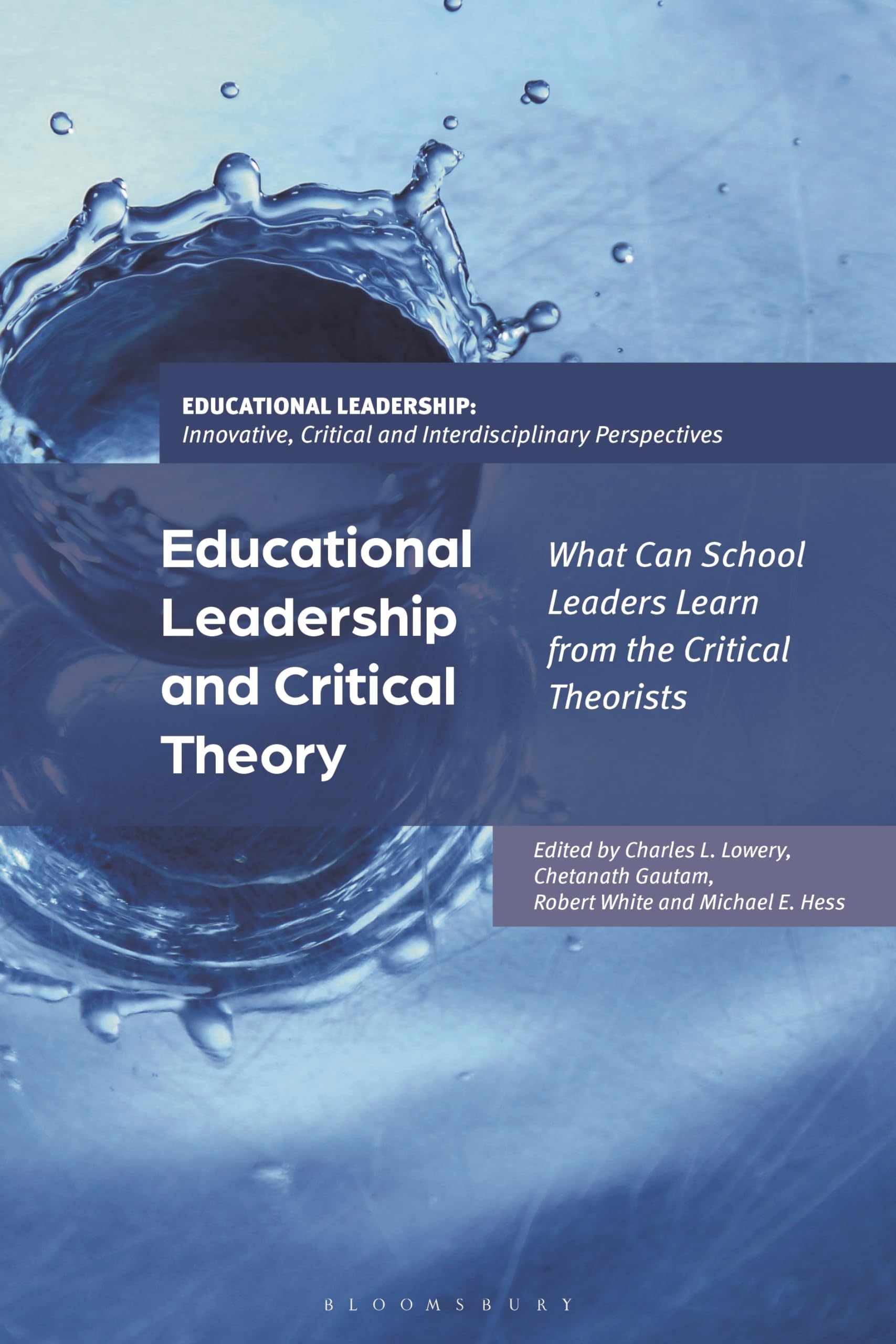Educational Leadership and Critical Theory: What Can School Leaders ...