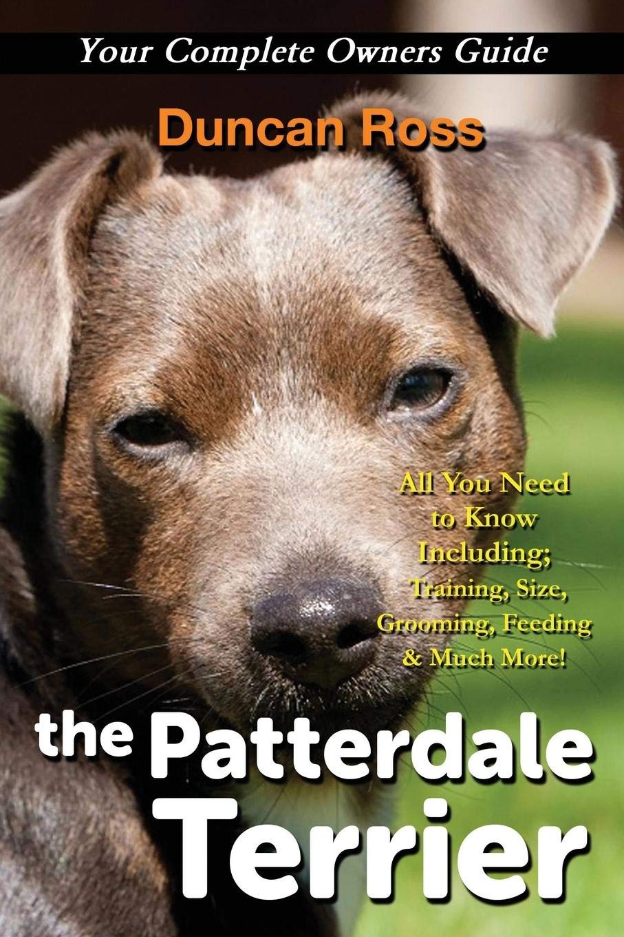 Can You Train A Patterdale Terrier