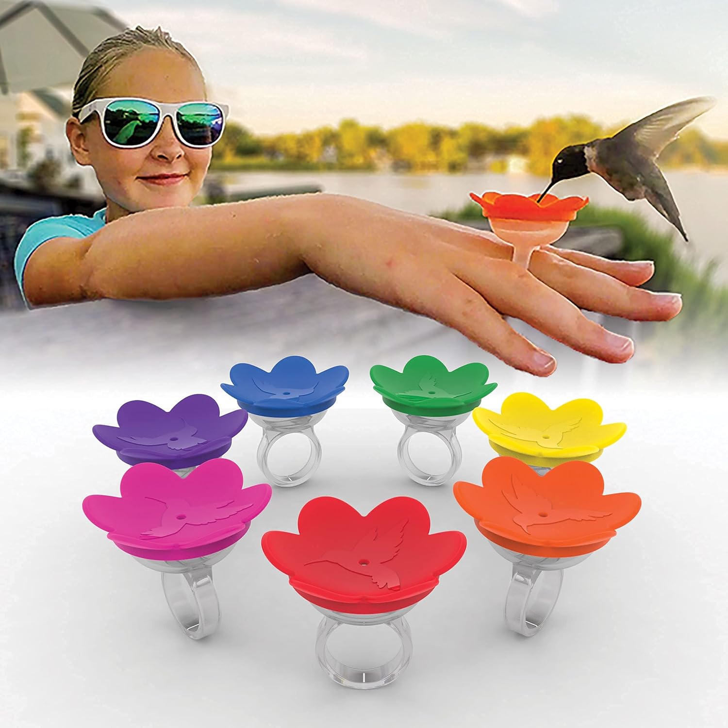 Amazon.com : ZUMMR Hummingbird Ring Feeder (Master Collection) - Hand ...